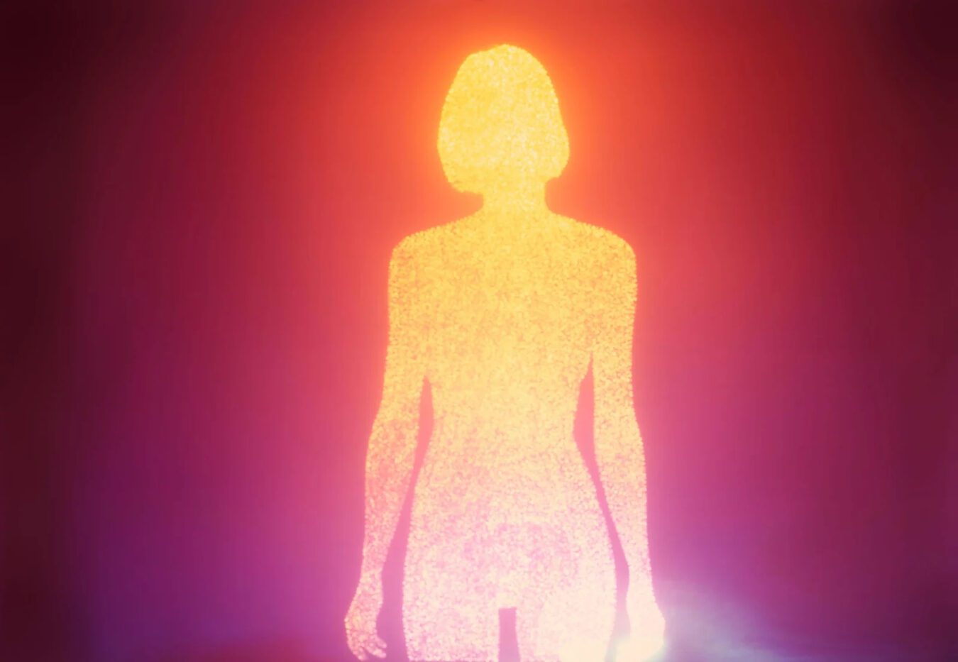 Christopher Bucklow | Holden Luntz Gallery