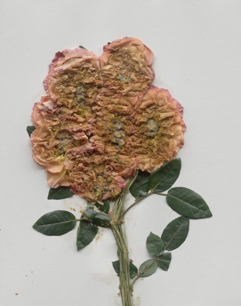Adam Fuss | Holden Luntz Gallery