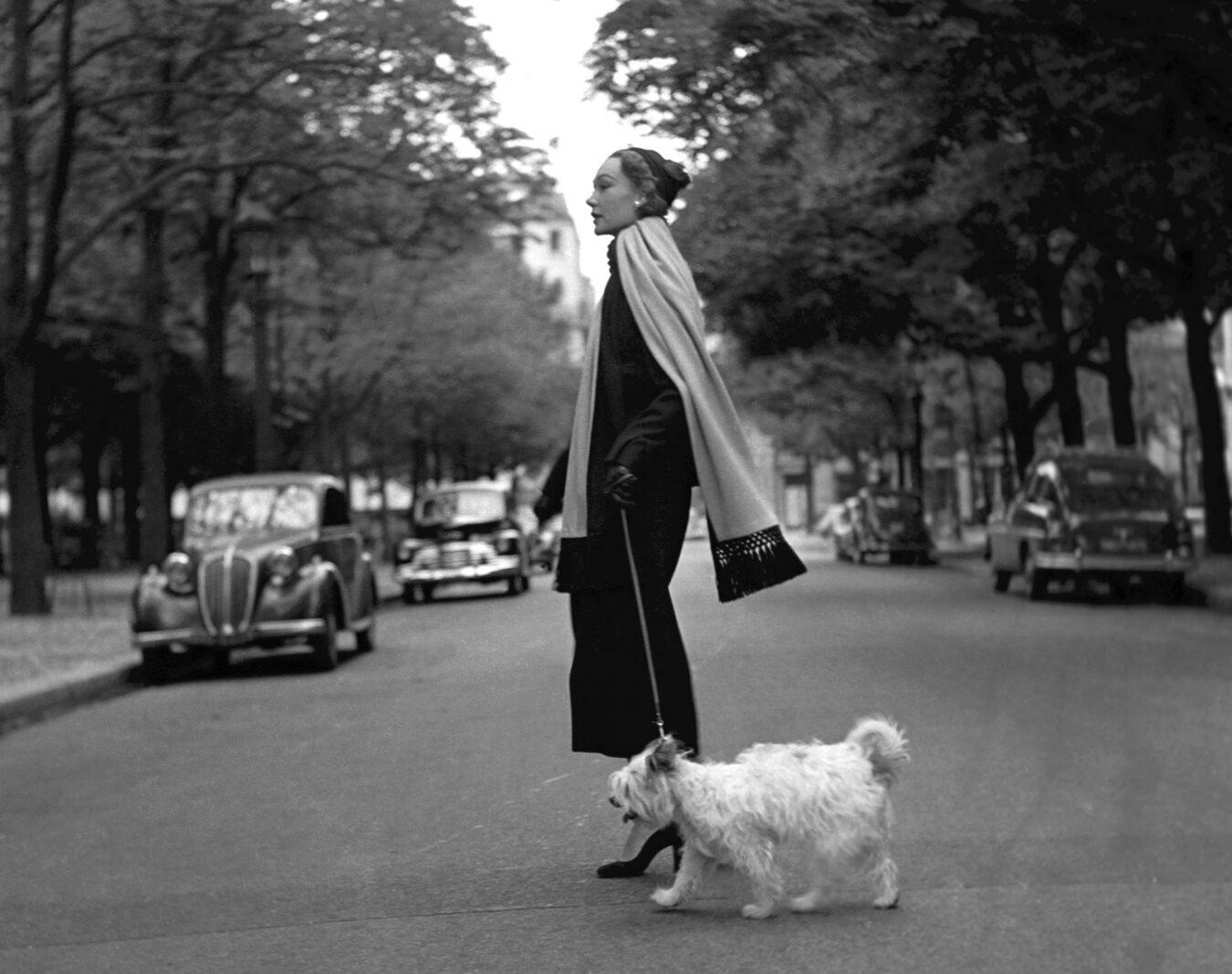Sophie Litvak et le petit chien (Sophie with little dog), Paris ...