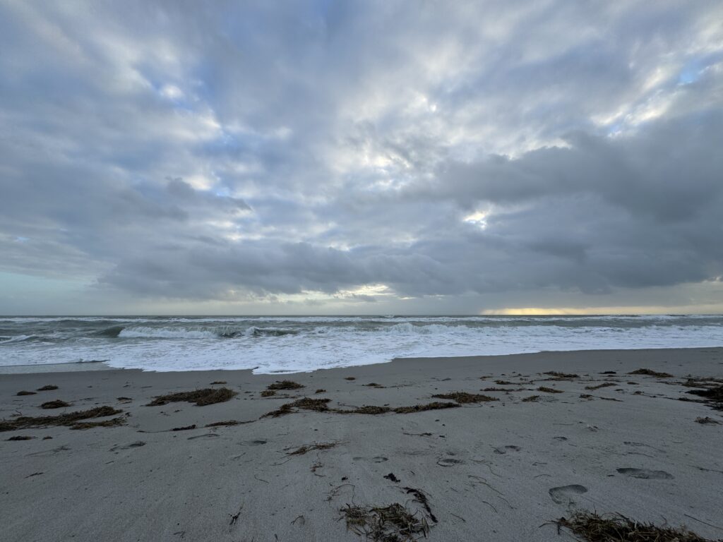 The Subtleties of Fall in Florida