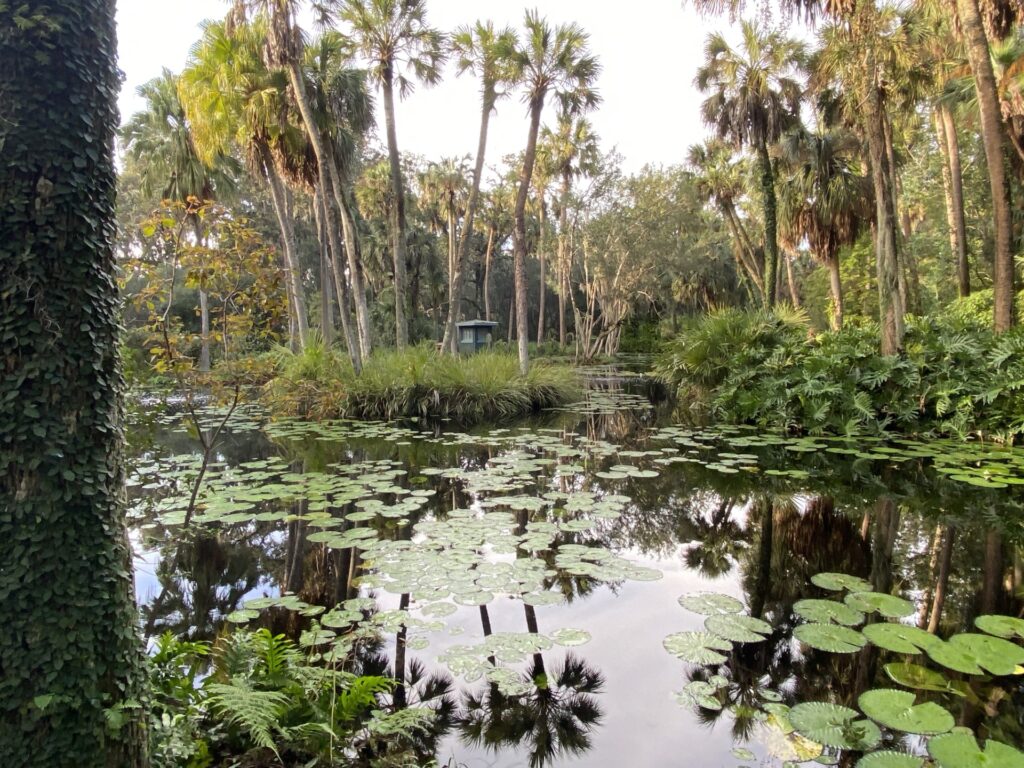The Subtleties of Fall in Florida