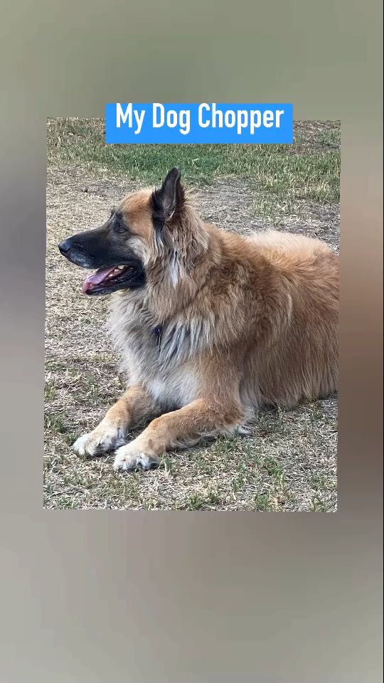 Home - Alexander Manzo