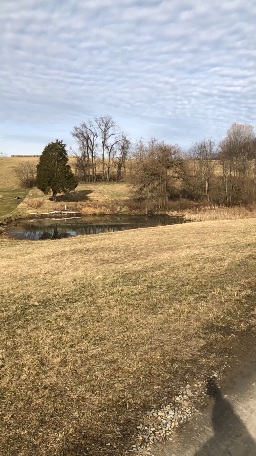 Home - Ron Lovelace - RE/MAX Professionals