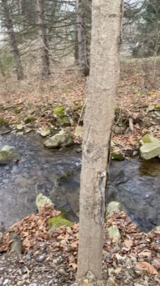 Home - Ron Lovelace - RE/MAX Professionals