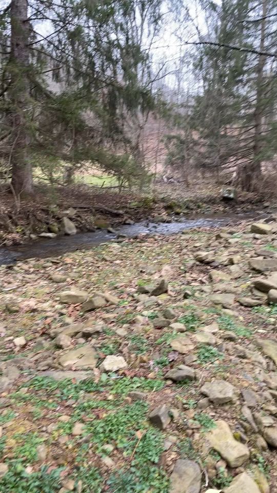 Home - Ron Lovelace - RE/MAX Professionals