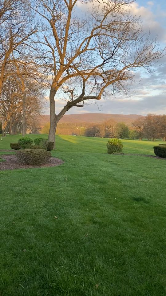 Home - Ron Lovelace - RE/MAX Professionals