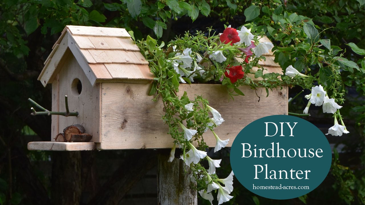 Birdhouse Planter: Easy DIY Planter Box - Homestead Acres