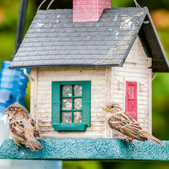 78 Decorative, Painted, Outdoor & Wooden Bird Houses (PHOTOS)