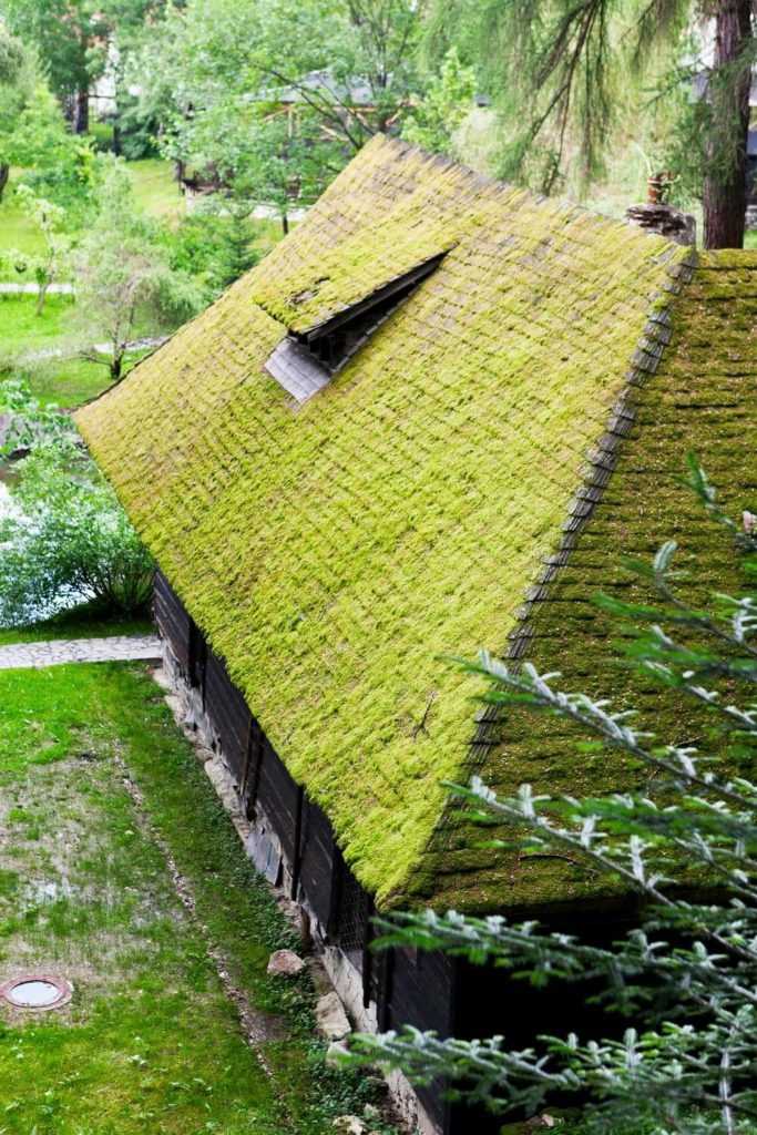 25 Amazing Buildings with Green Roof Designs (PICTURES)