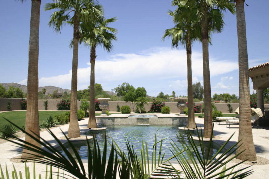 30 Spectacular Backyard Palm Tree Ideas Home Stratosphere 30 Spectacular Backyard Palm Tree Ideas Home Stratosphere
