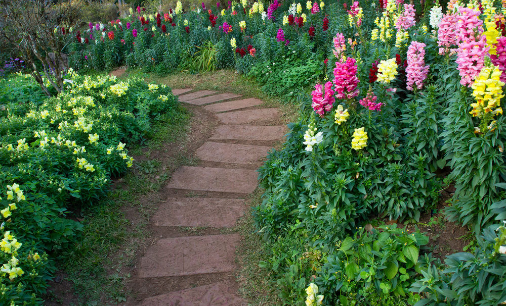 75 Garden Path Ideas and Designs (PICTURES)