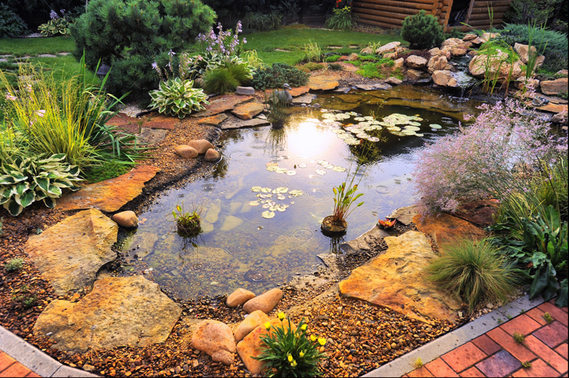 35 Backyard Pond Images (GREAT Landscaping Ideas)