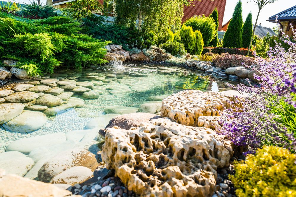35 Backyard Pond Images (GREAT Landscaping Ideas)
