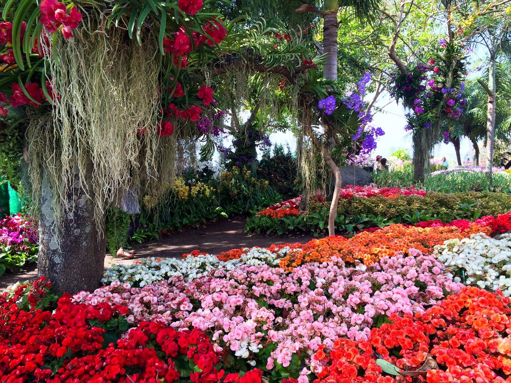 Colorful Backyard Flower Gardens