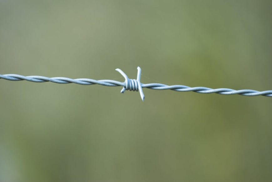 5 Different Types of Barbed Wire - Homeporio