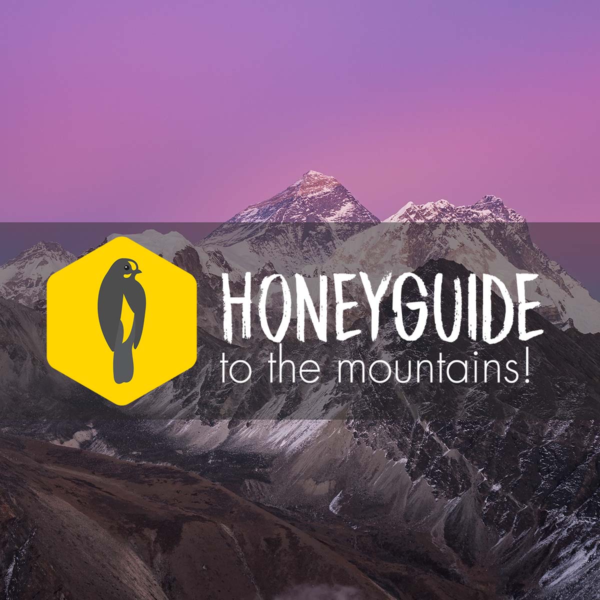 HoneyGuide | To The Mountains!