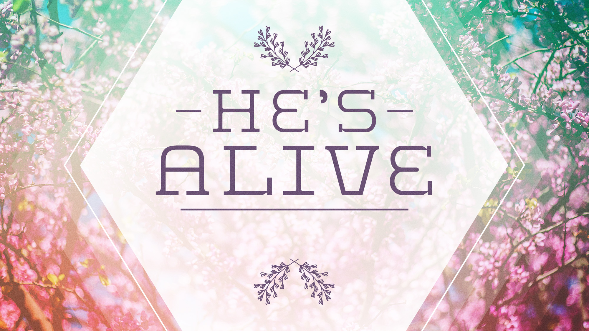 he_s_alive-title-2-Wide-16×9 – Fayetteville Church of Christ