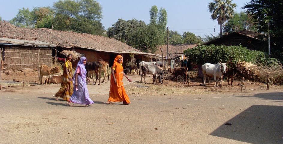 The MINDS Foundation - Online Fundraising Website