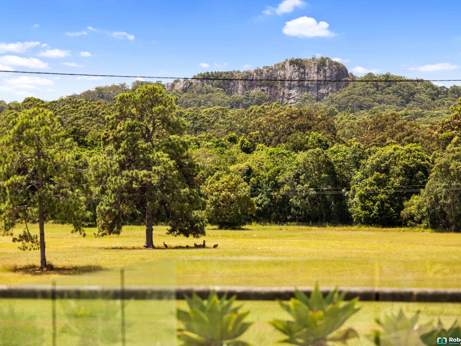 Horse Property For Sale Tinbeerwah Qld 4563 | 43 Worba Lane