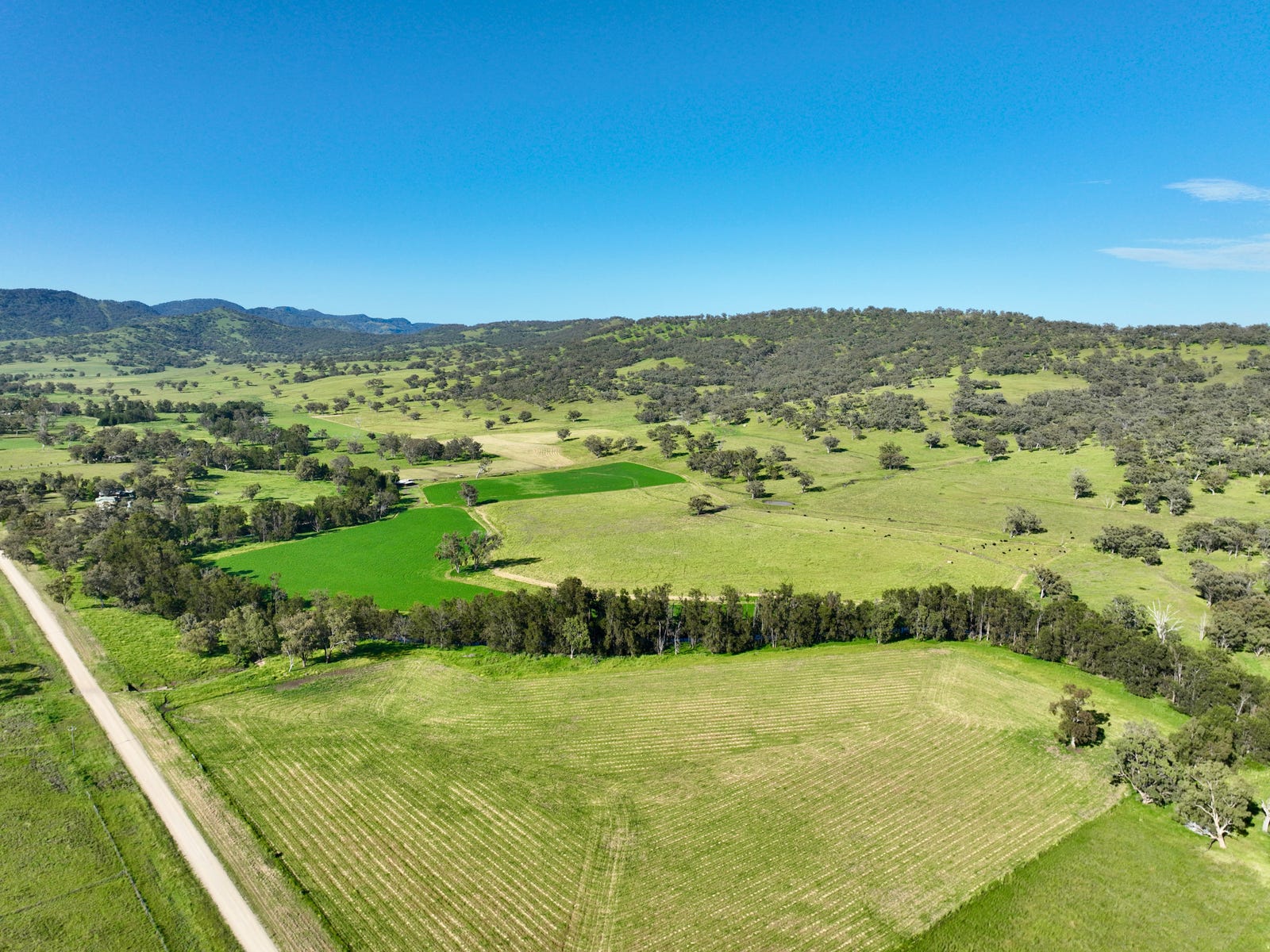 Horse Property For Sale Willow Tree NSW 2339 | "strathleigh" Warrah ...