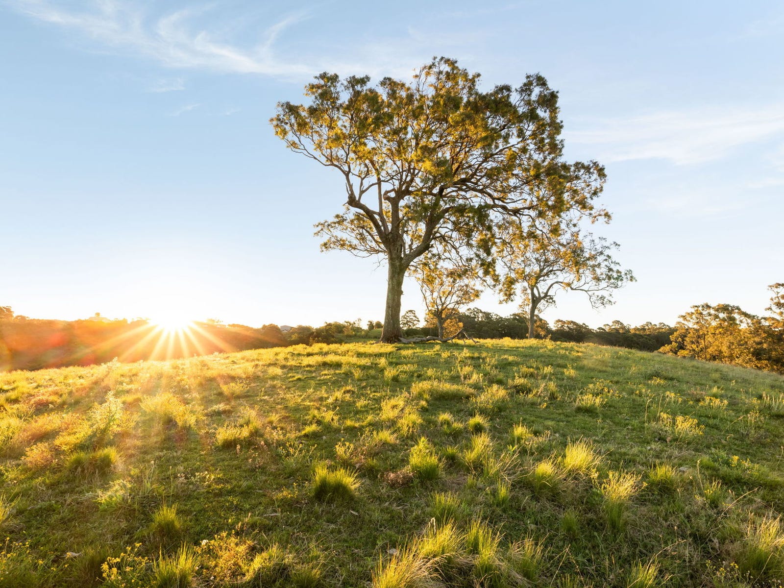 Horse Property For Sale Razorback NSW 2571