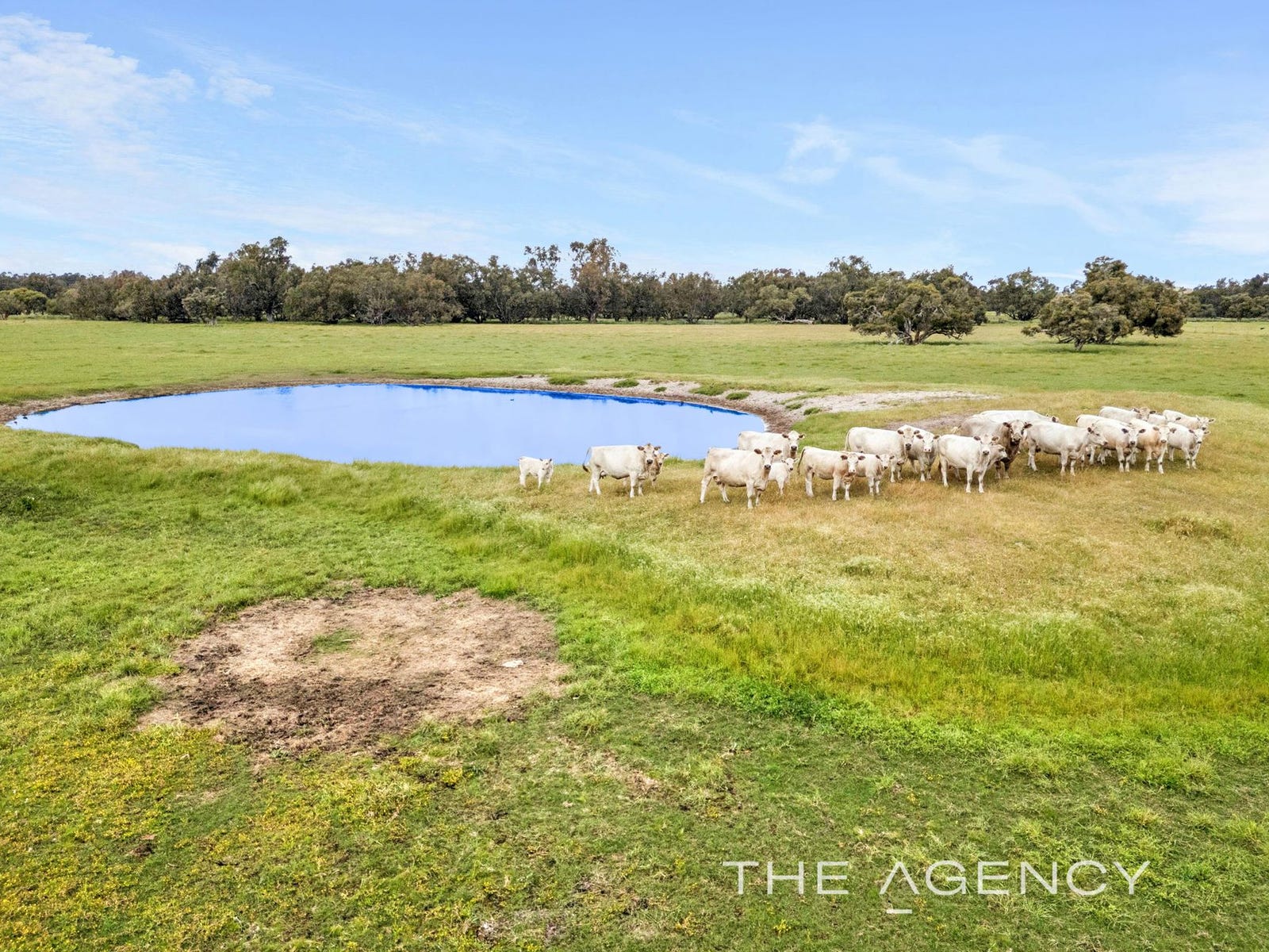 Horse Property For Sale Hopeland WA 6125