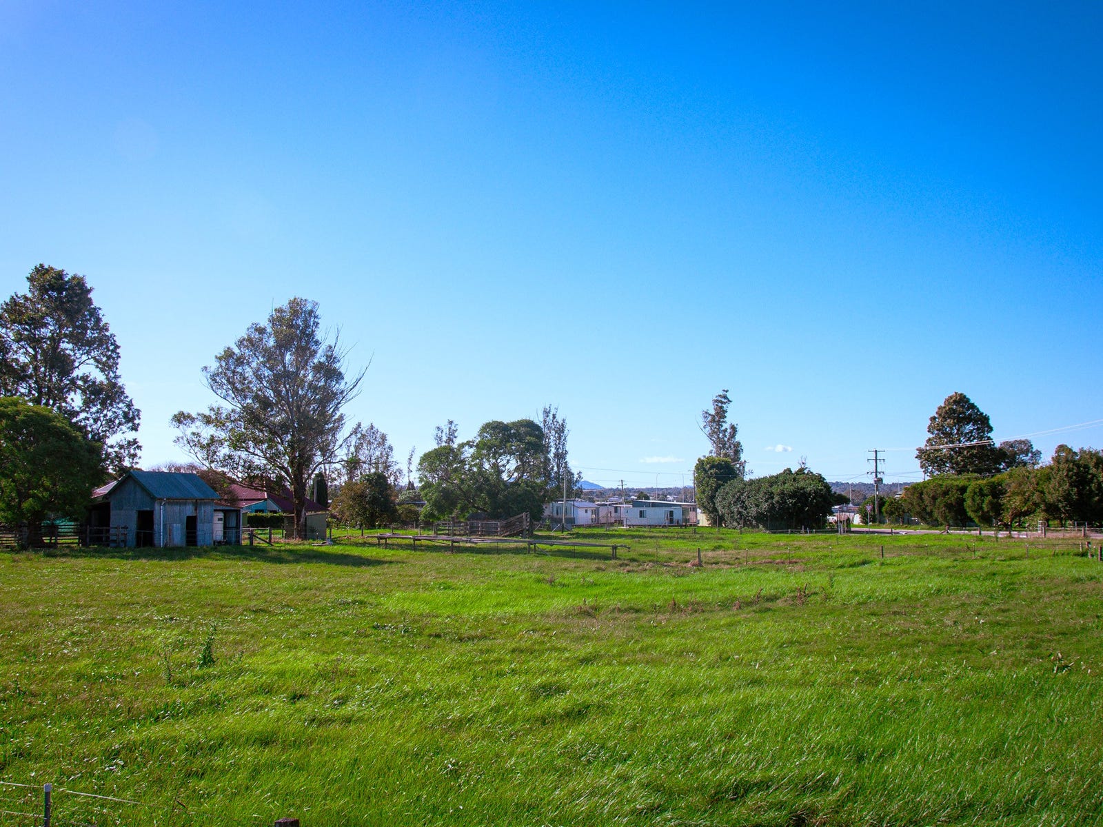 Horse Property For Sale Singleton NSW 2330 | 31-33 Dunolly Rd