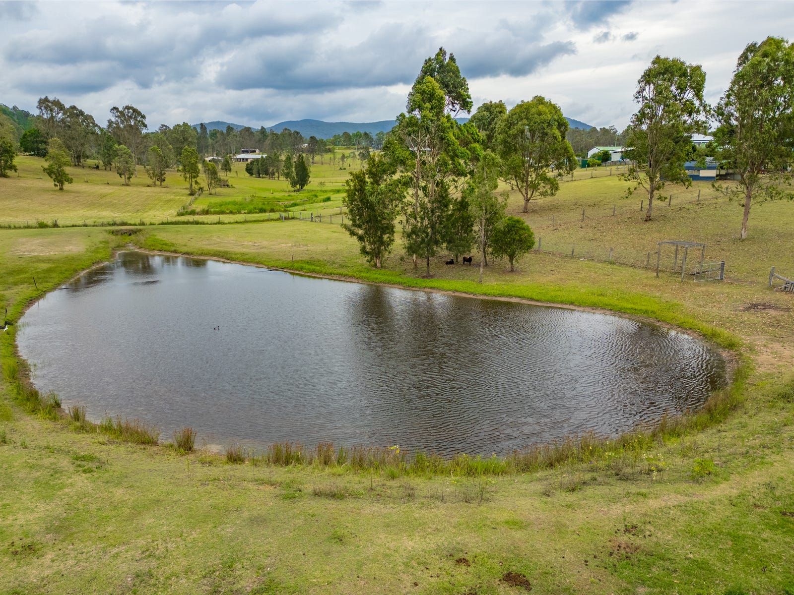 Horse Property For Sale Royston Qld 4515 | 48 Jayen Drive
