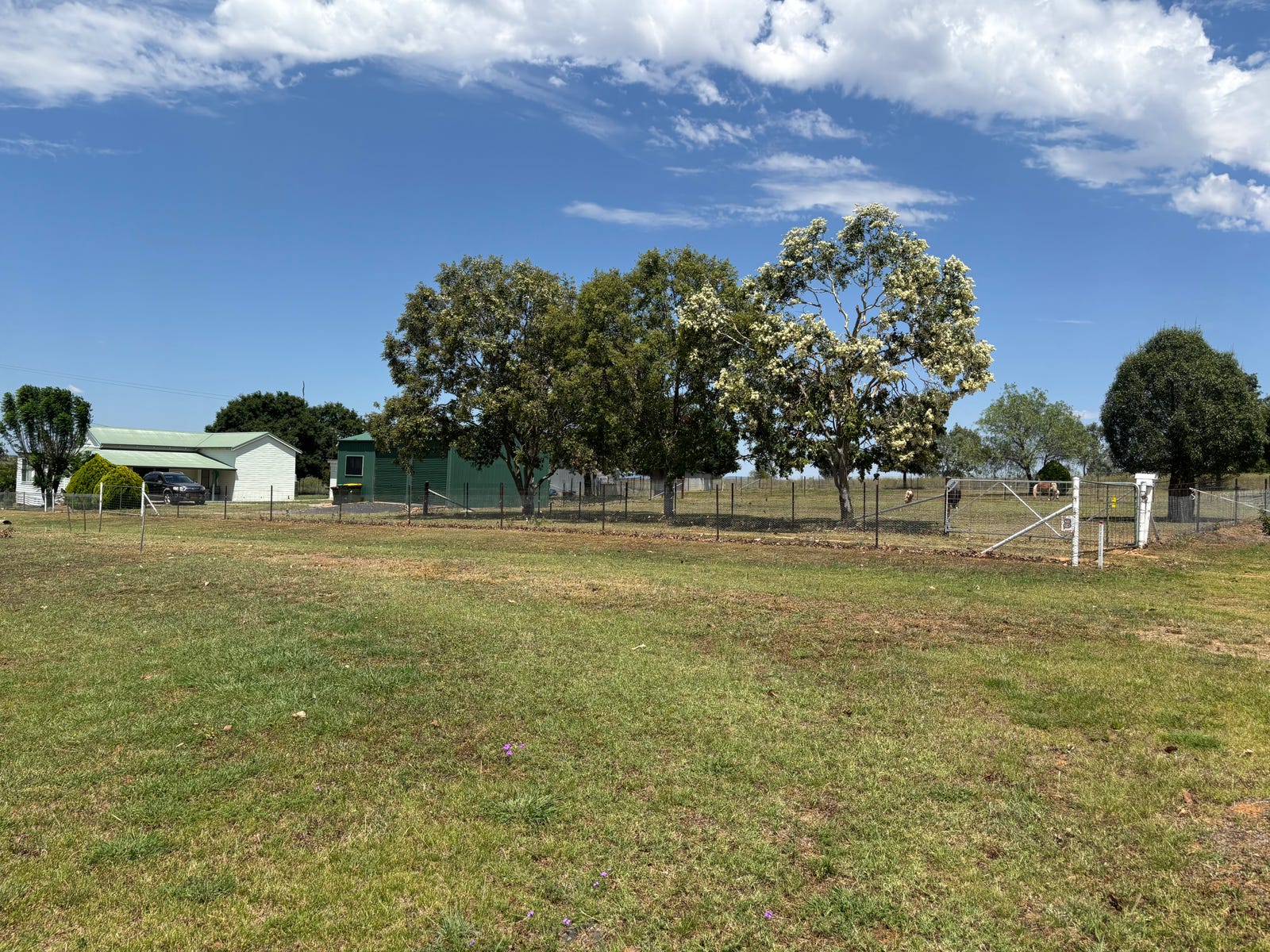 Horse Property For Sale Warialda Rail NSW 2402 | 8 View Street