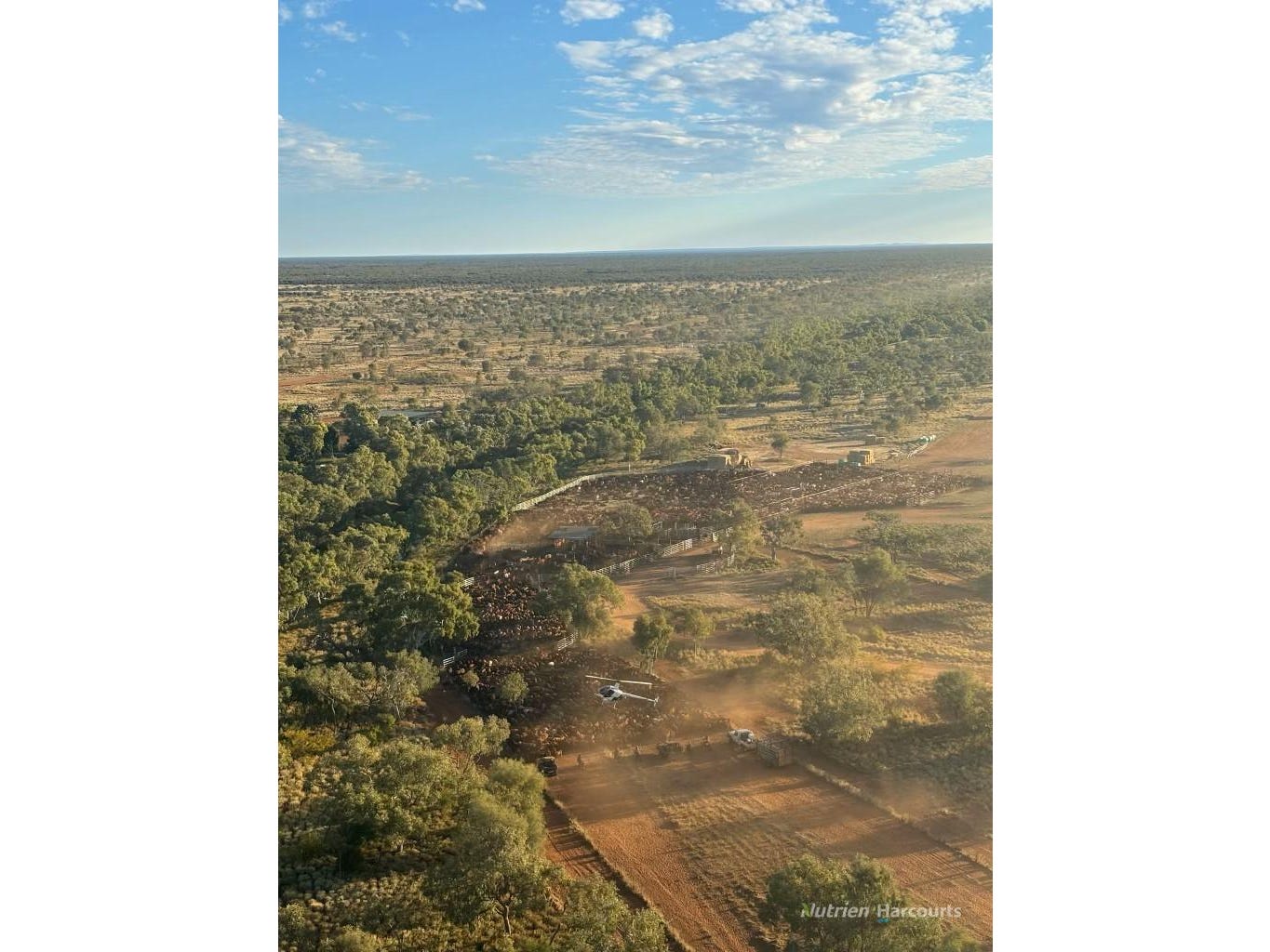 Horse Property For Sale Alice Springs NT 0870 | * Murray Downs Station