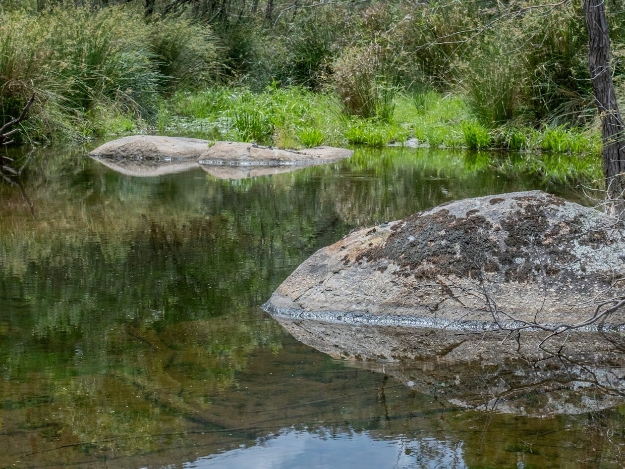 Horse Property For Sale Attunga NSW 2345 | 432 Attunga Forest Road