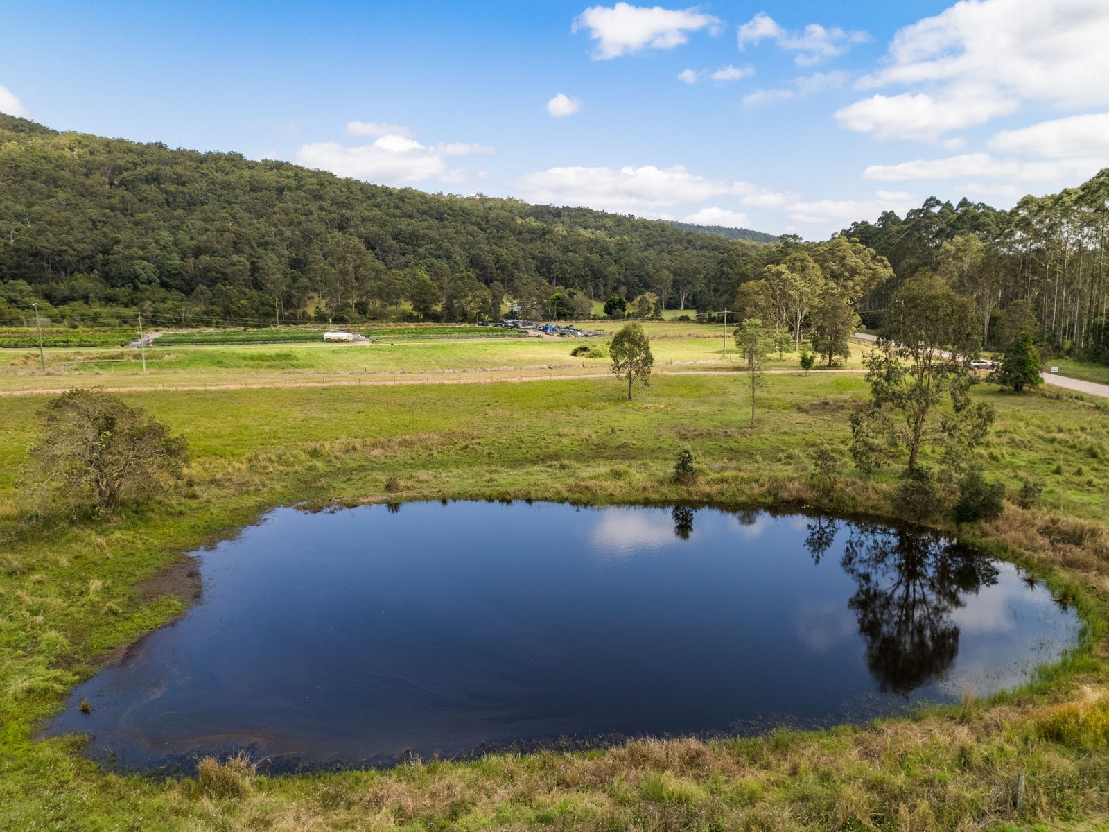 Horse Property For Sale Belli Park Qld 4562