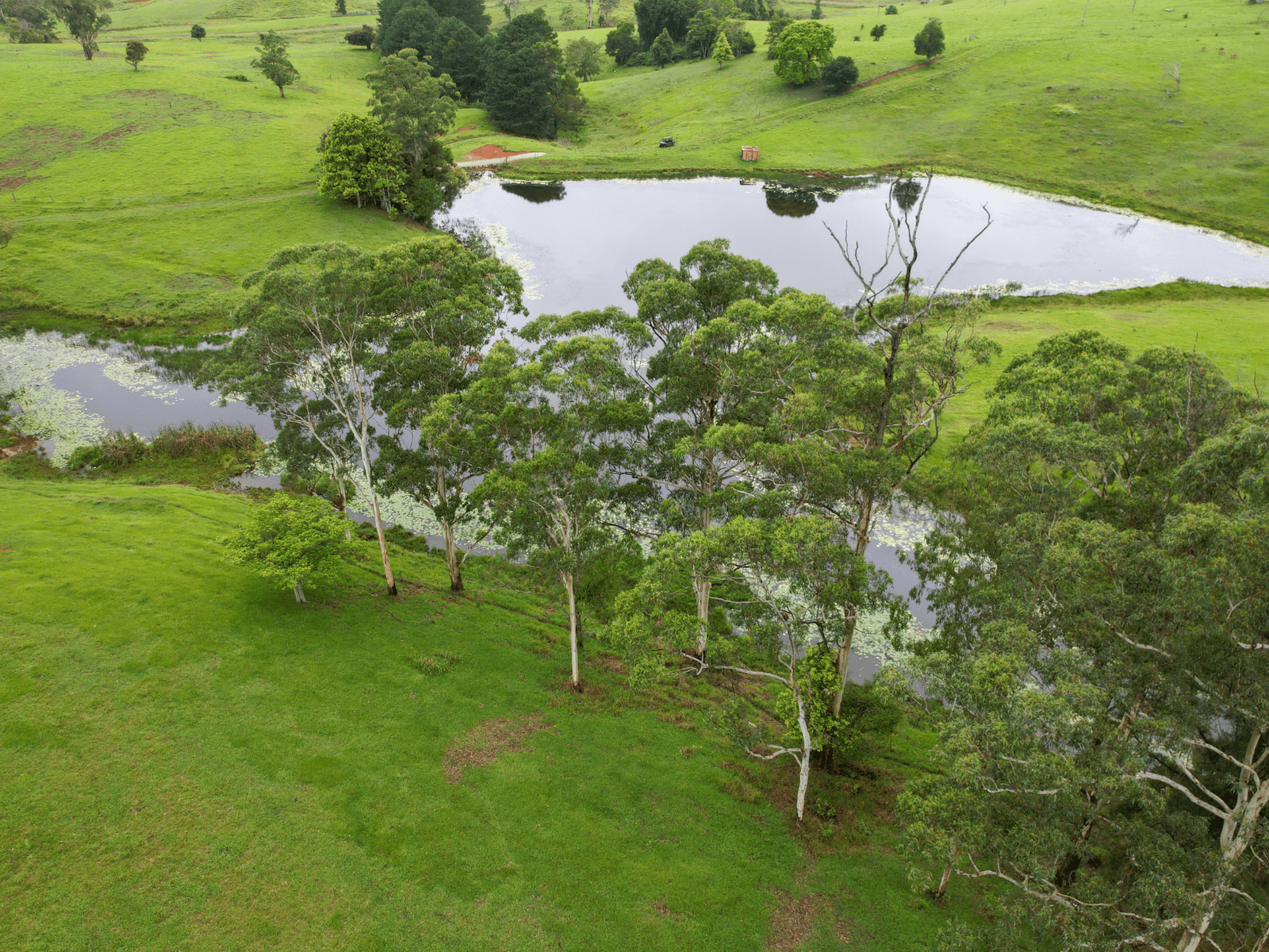 Horse Property For Sale Bellthorpe Qld 4514 | 12/400 Bellthorpe West Road