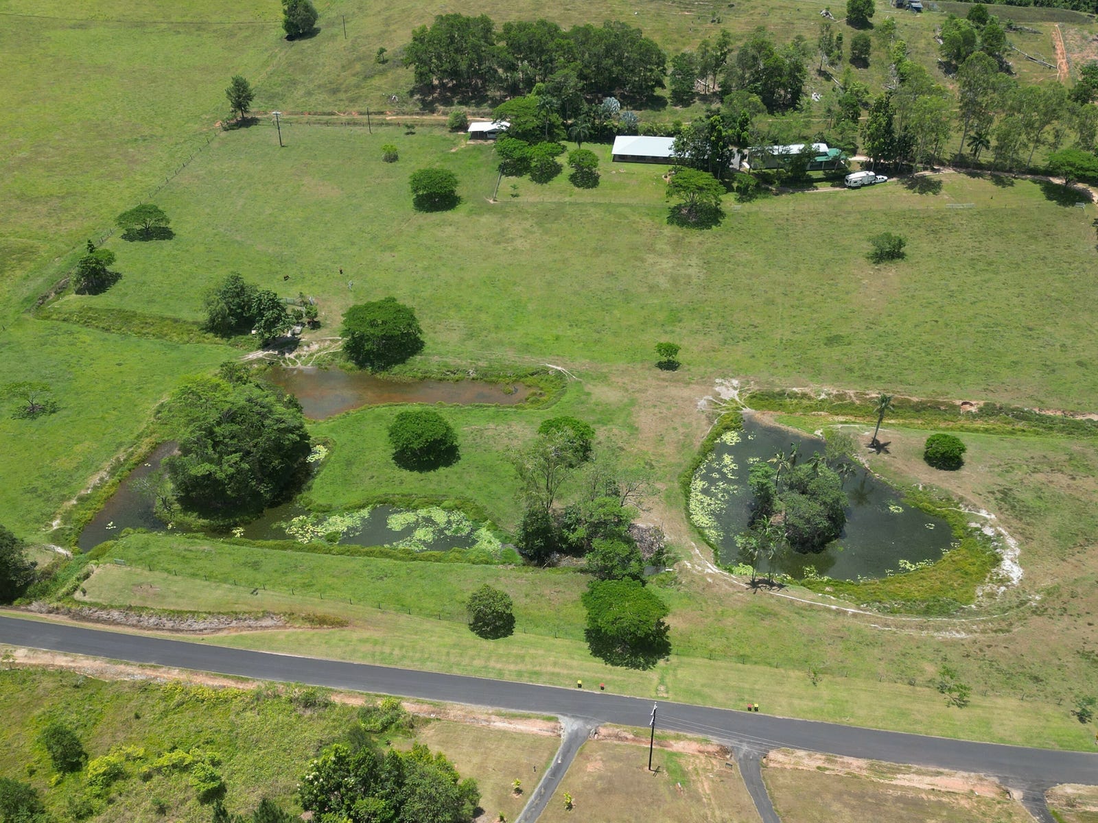 Horse Property For Sale Feluga Qld 4854