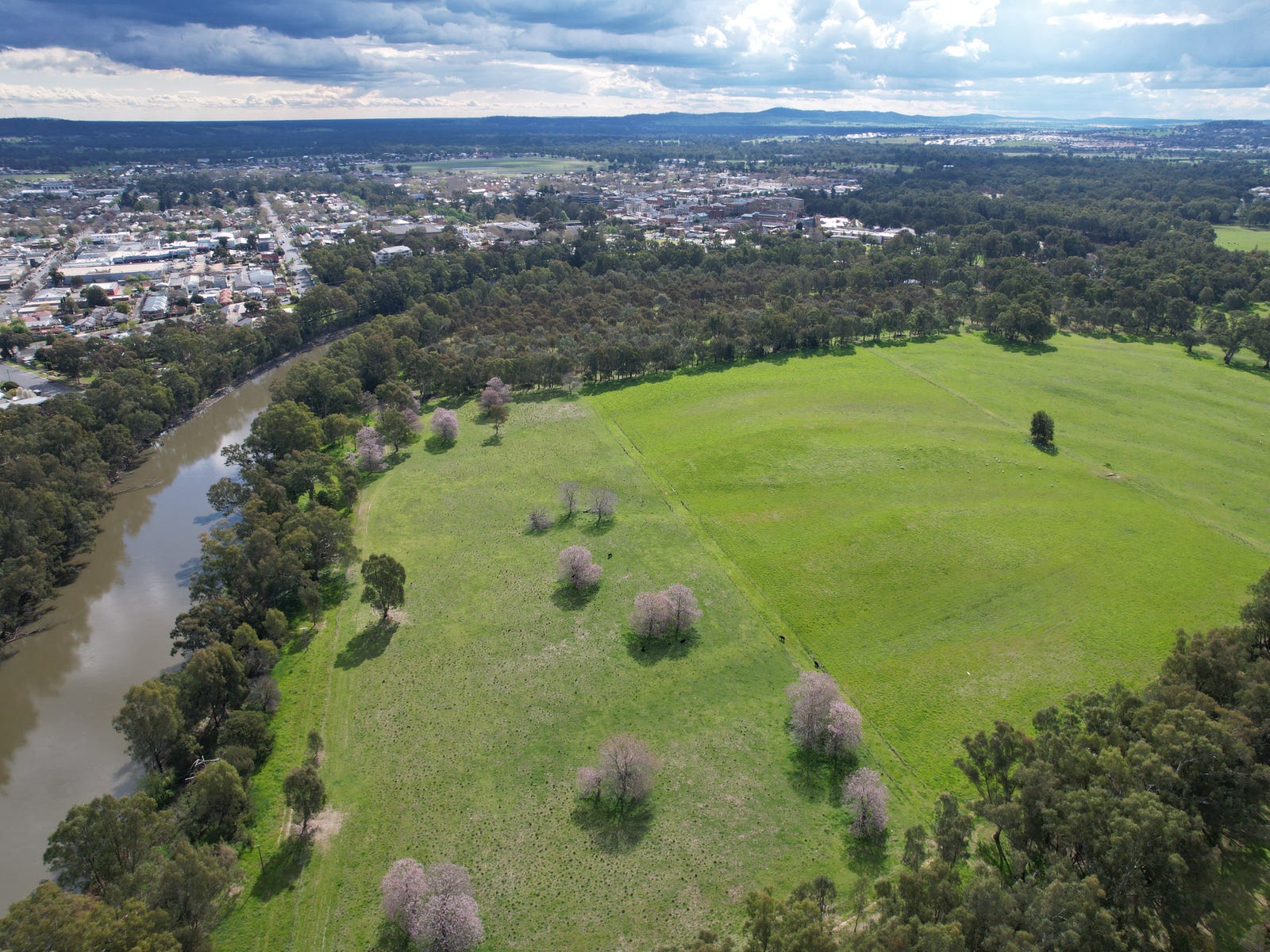 Horse Properties For Sale