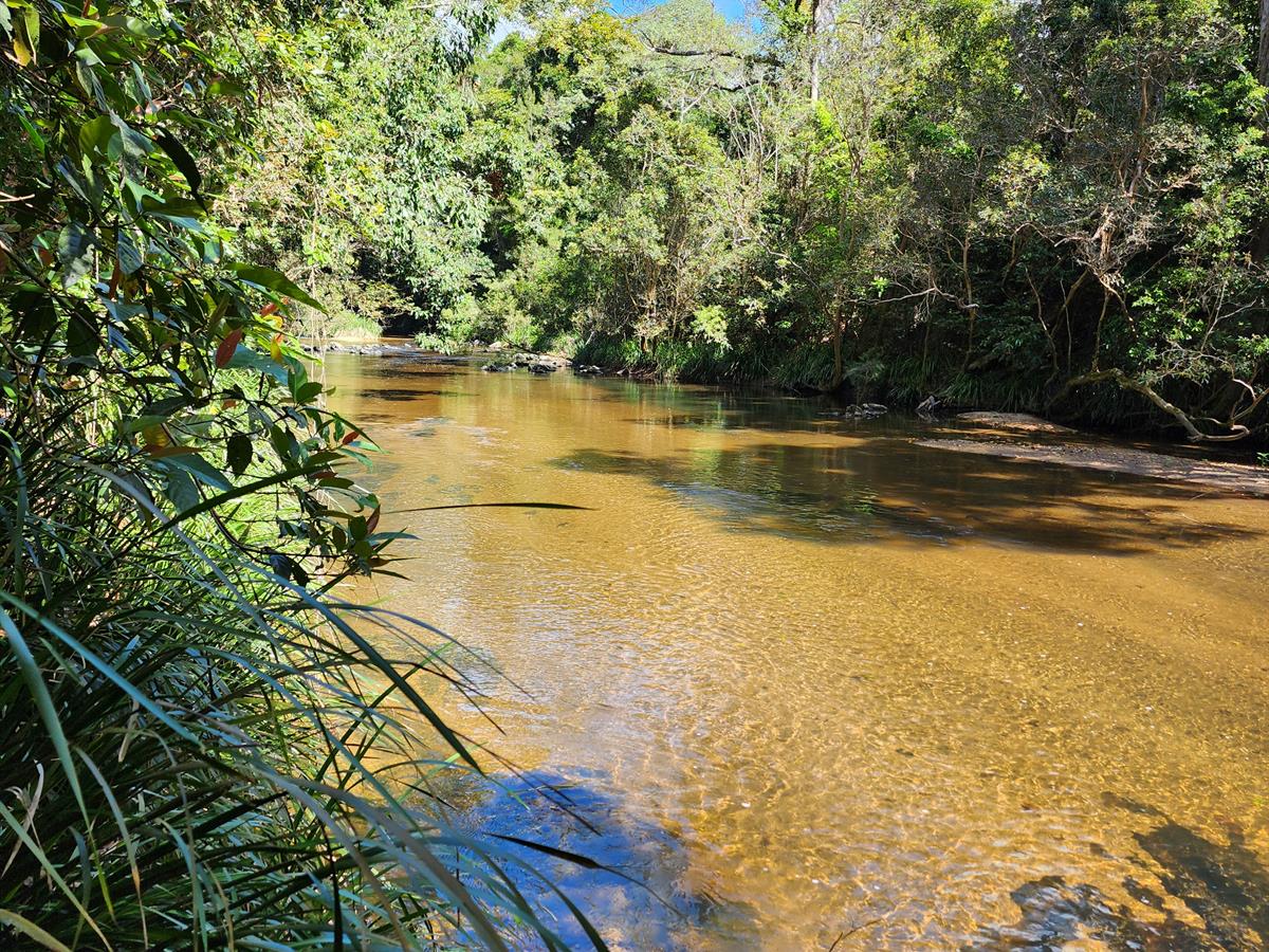 Horse Real Estate | Search Horse Property For Sale in Australia