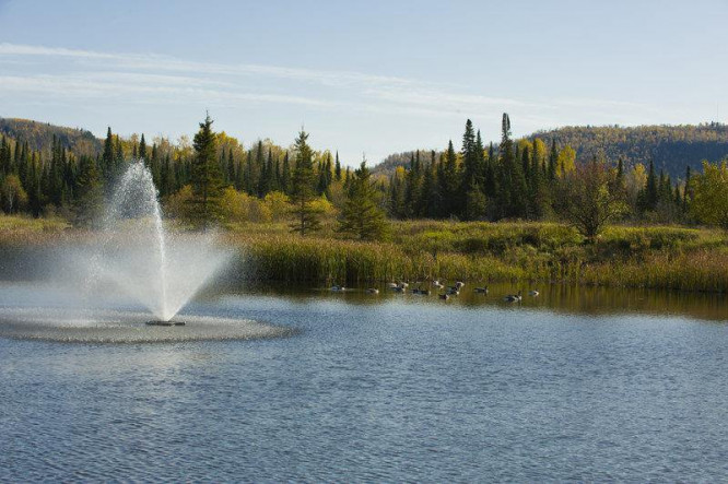 Best Western Plus Nor Wester vacation deals - Lowest Prices, Promotions ...