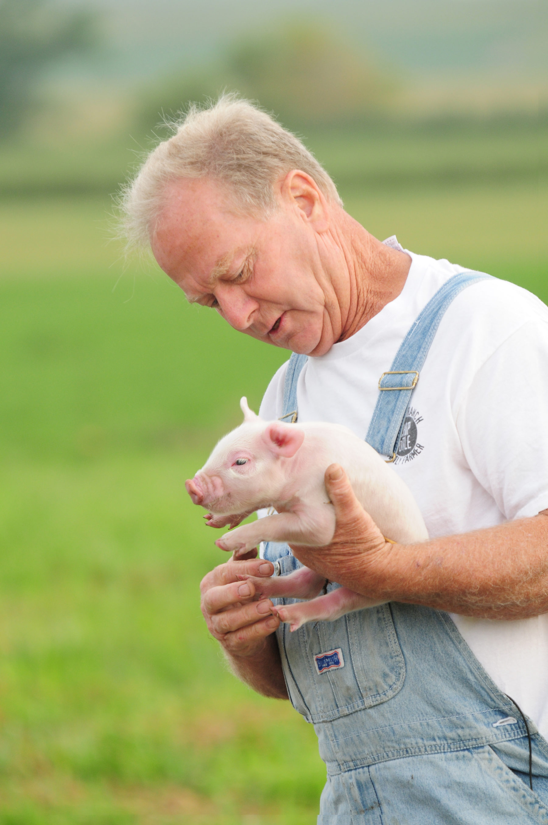 Paul Willis | Heritage Radio Network