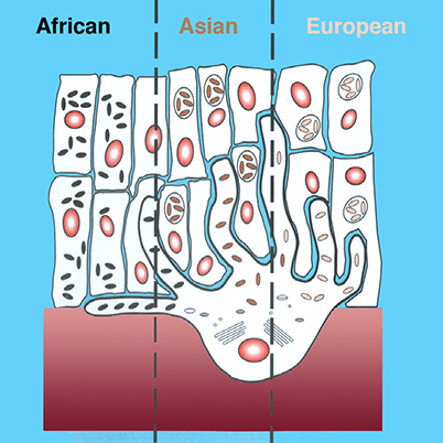 Lab – HudsonAlpha Institute for Biotechnology