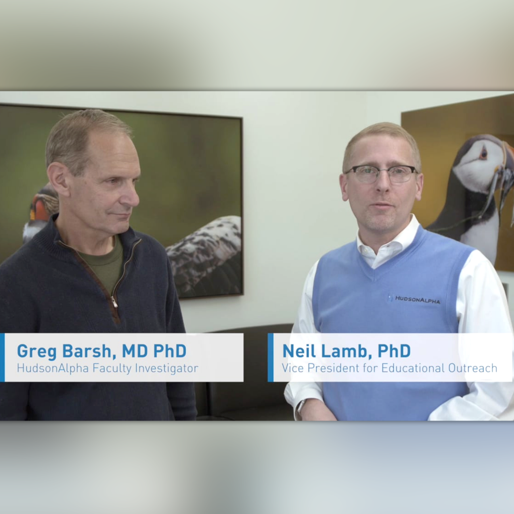 The Science of Skin Color – HudsonAlpha Institute for Biotechnology