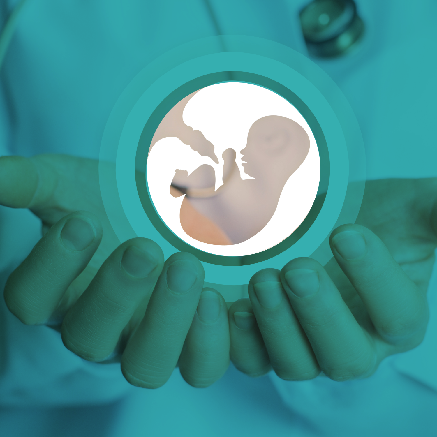 What you need to know about the first claim of a genetically edited ...