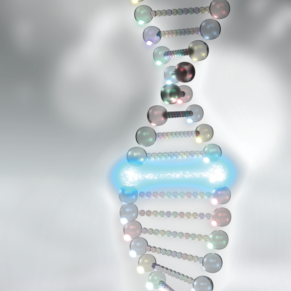 What do the genetic pieces of ADHD look like? – HudsonAlpha Institute ...