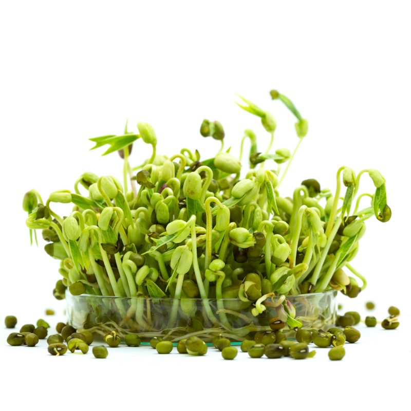 A guide to how GMO’s and bioengineered foods get labeled – HudsonAlpha ...