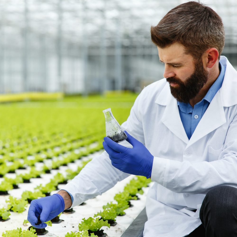 A guide to how GMO’s and bioengineered foods get labeled – HudsonAlpha ...