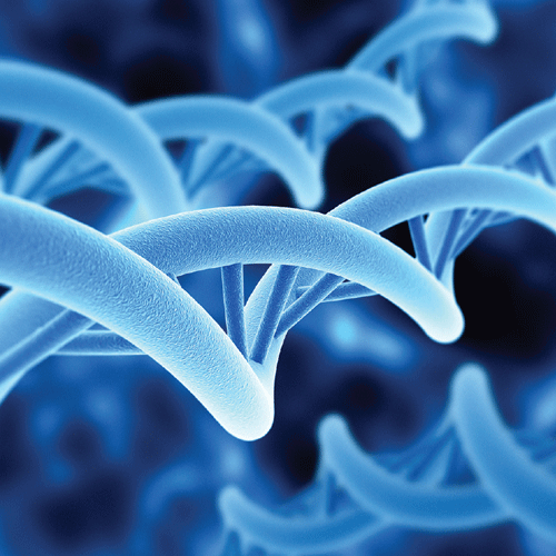 Comparative Genomics – HudsonAlpha Institute for Biotechnology