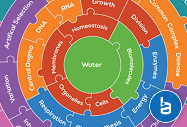 Biology: It’s All Connected – HudsonAlpha Institute for Biotechnology