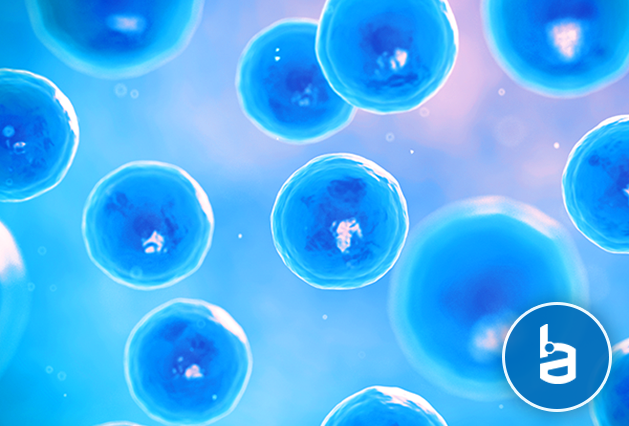 Cells & Cell Process – HudsonAlpha Institute for Biotechnology