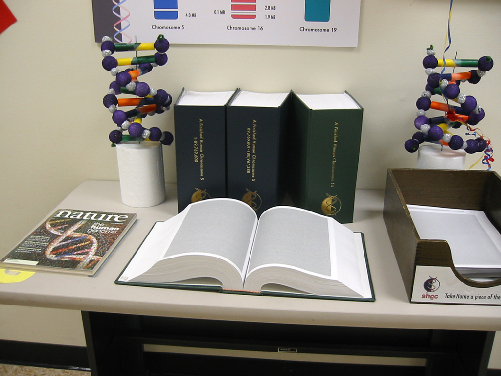 The Human Genome Project: Thirty years later – HudsonAlpha Institute ...