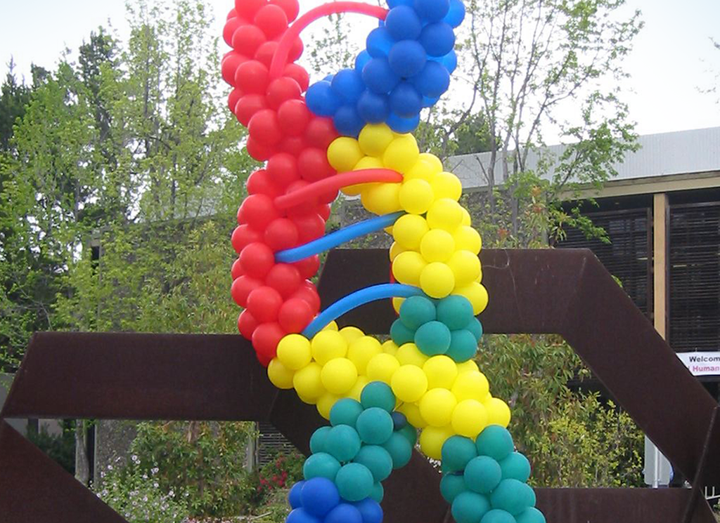 The Human Genome Project: Thirty years later – HudsonAlpha Institute ...