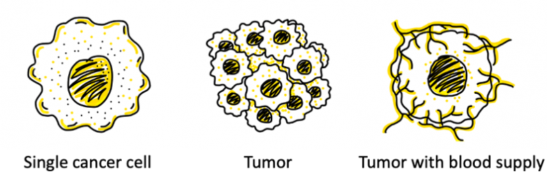 What is chemotherapy resistance and how are scientists trying to combat ...